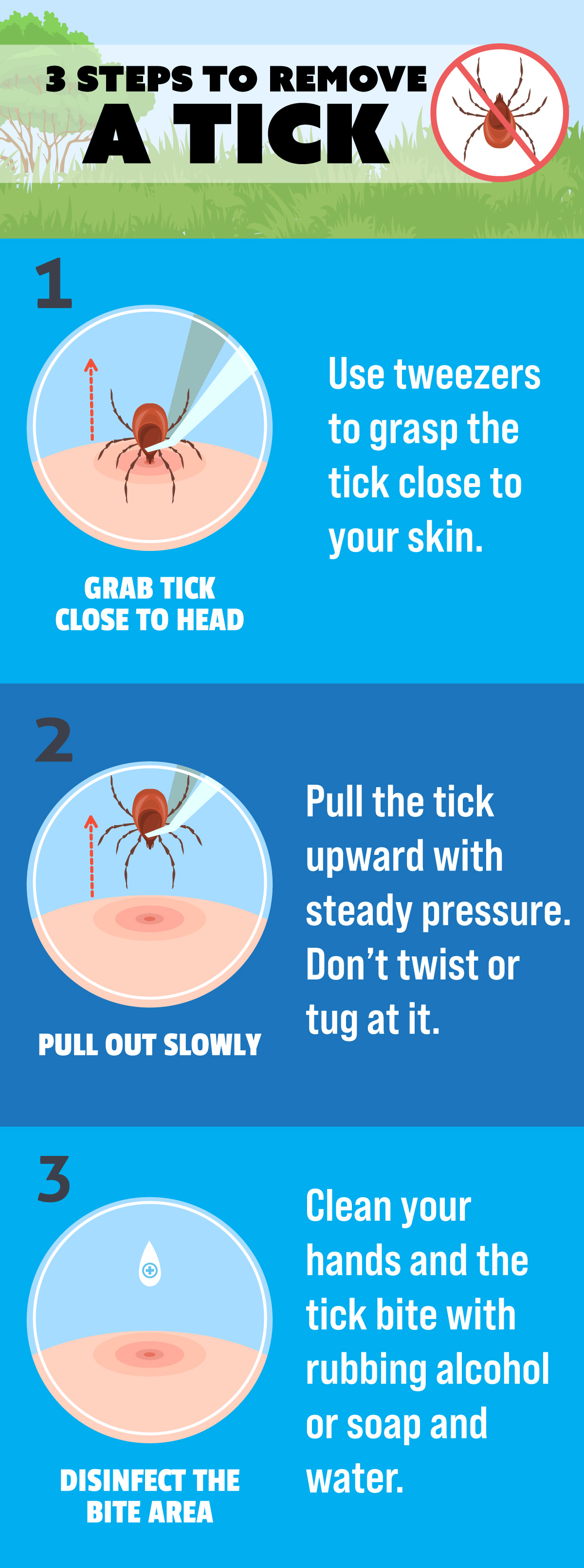 Evict a tick | Mercyhealth